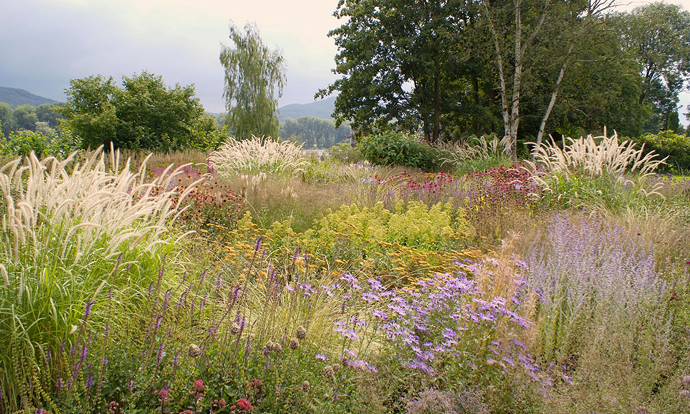 Landscape Design with Piet Oudolf