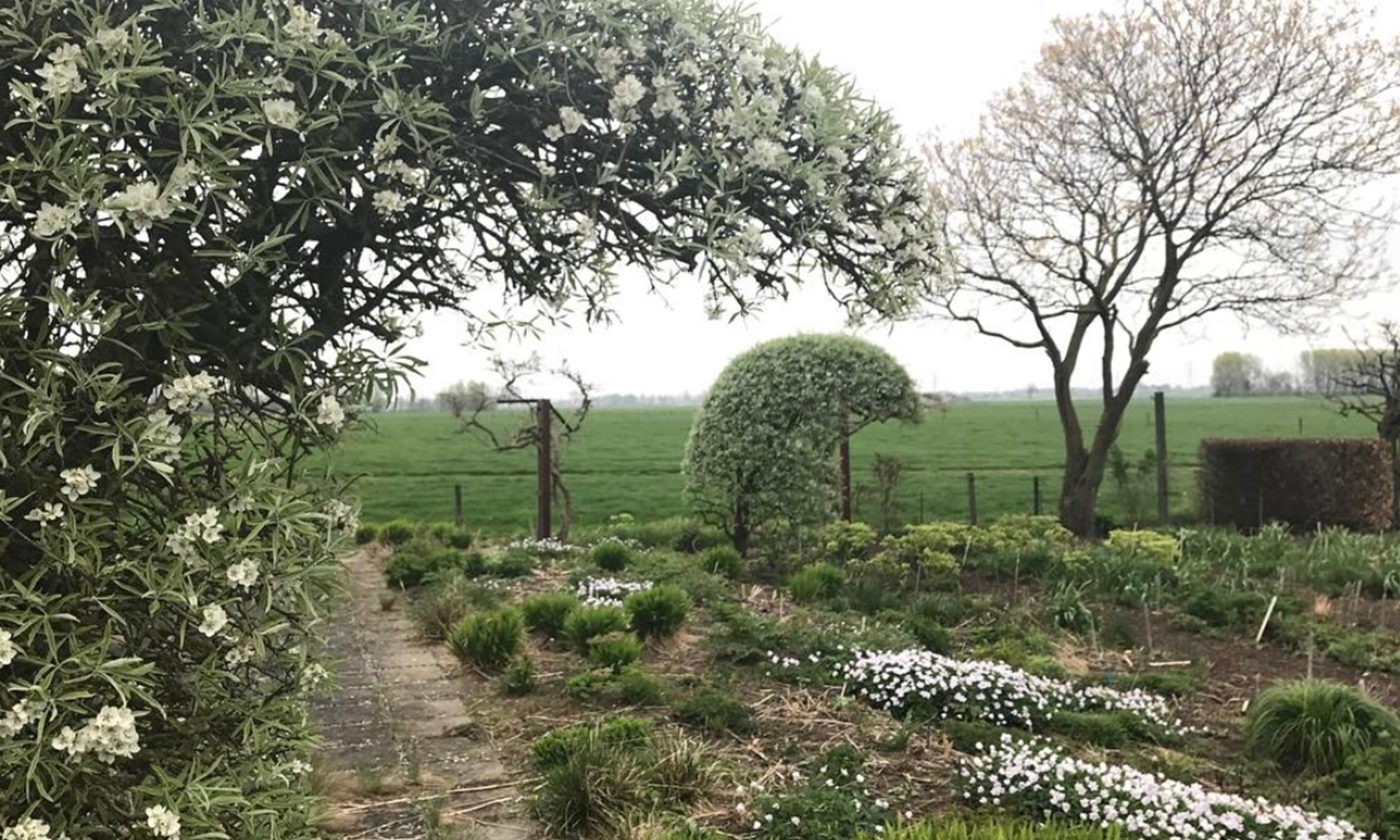 Landscape Design with Piet Oudolf